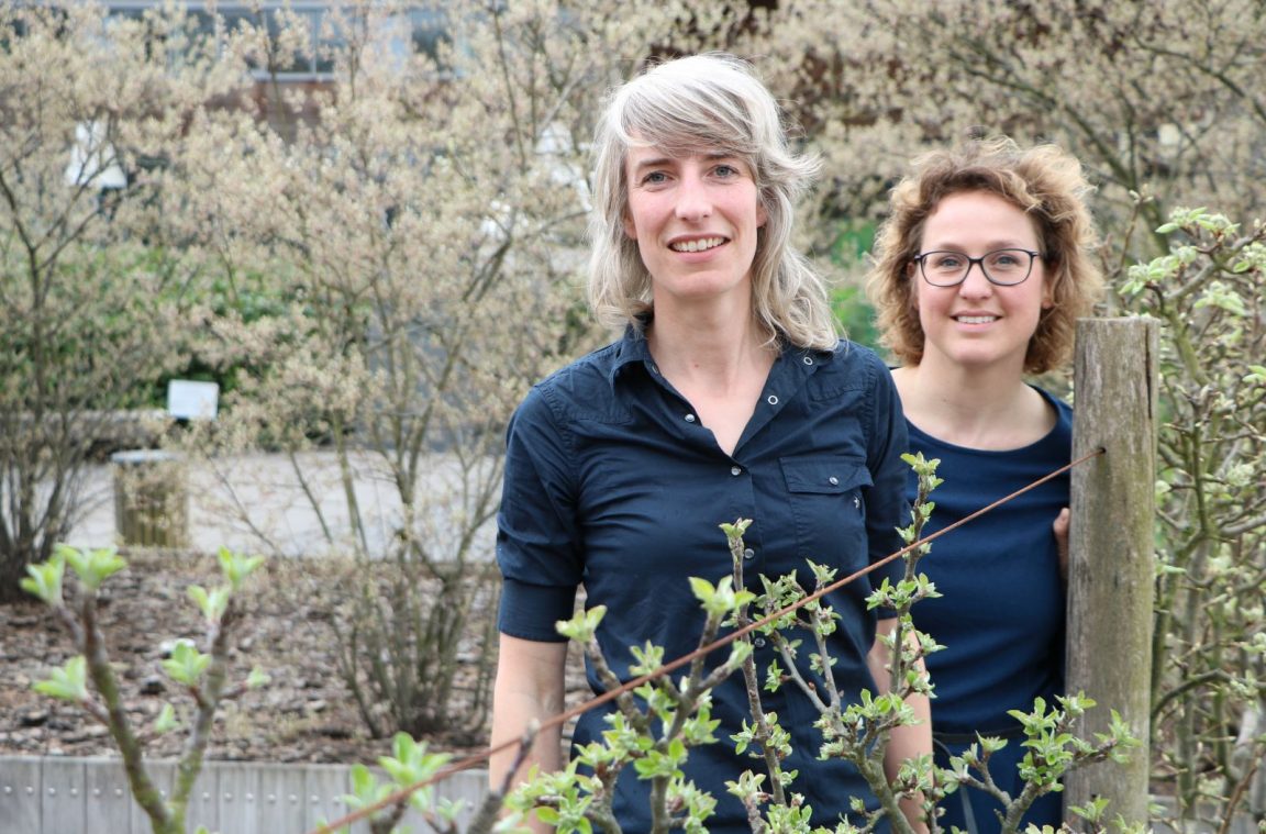 Trots op een appel die smaakt – Zout Magazine